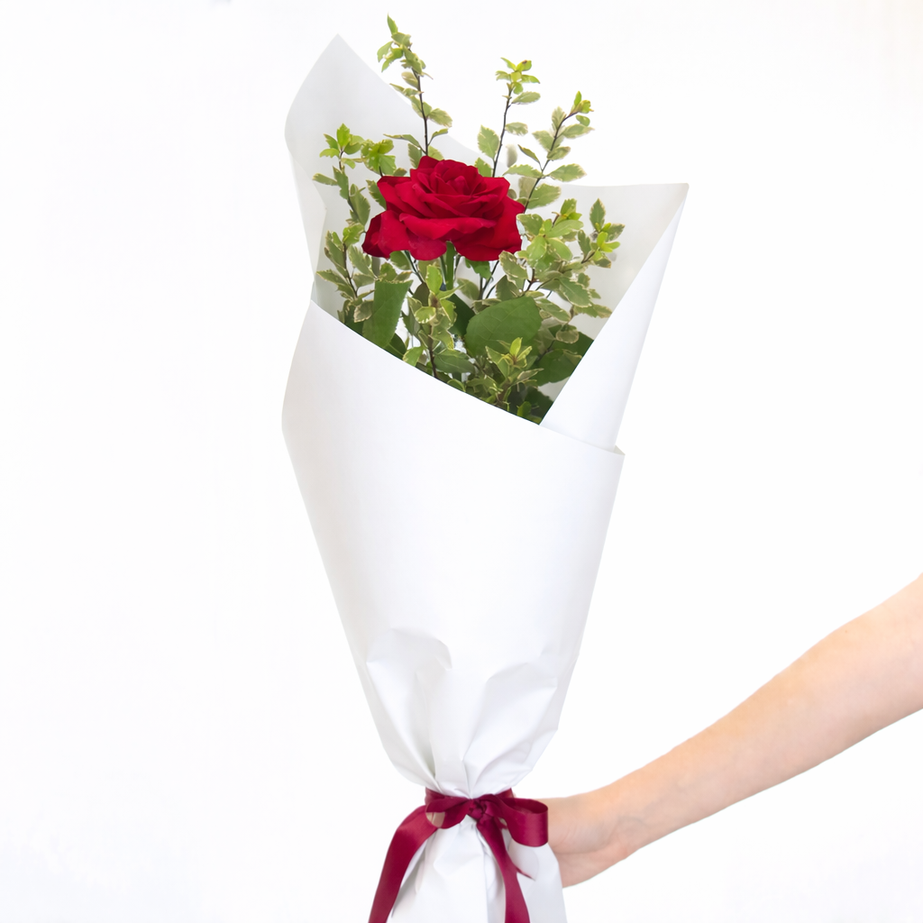 Single Wrapped Red Rose Sydney | Valentine’s Day Rose Delivery ...