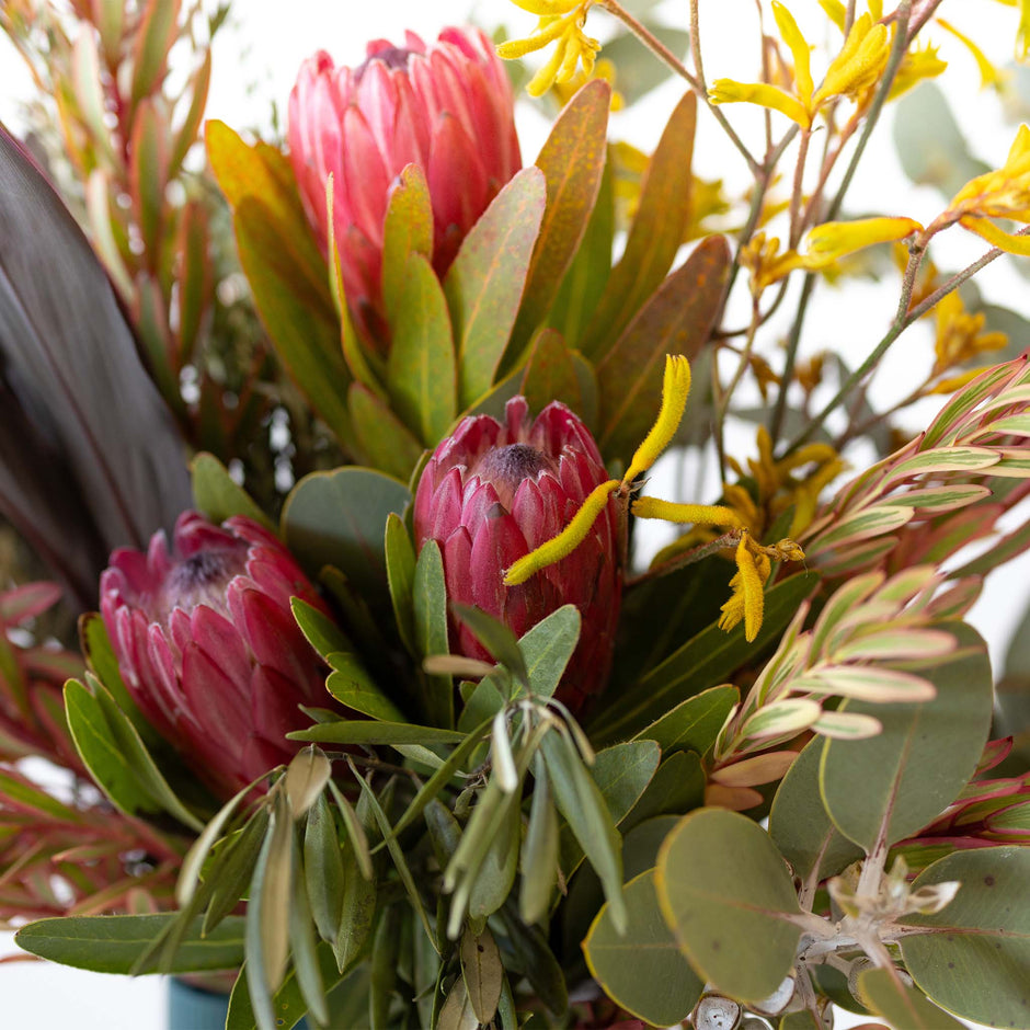Inbloom Florist Chatswood Chase – InbloomFlorist Warringahmall